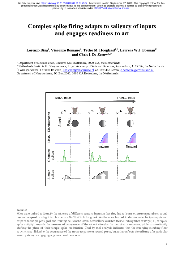 (PDF) Complex spike firing adapts to saliency of inputs and engages ...