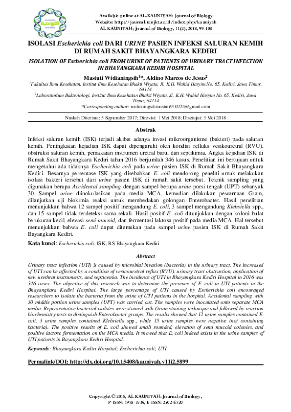 (PDF) ISOLASI Escherichia coli DARI URINE PASIEN INFEKSI SALURAN KEMIH ...