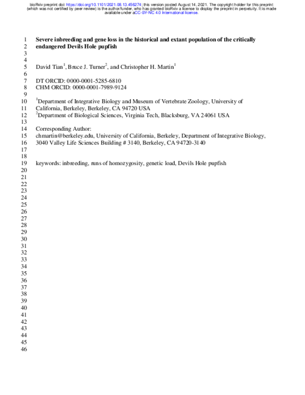 (PDF) Severe inbreeding and gene loss in the historical and extant ...