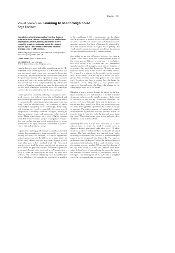 (PDF) Visual perception: Learning to see through noise