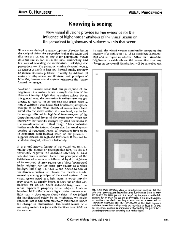 (PDF) Visual Perception: Knowing is seeing