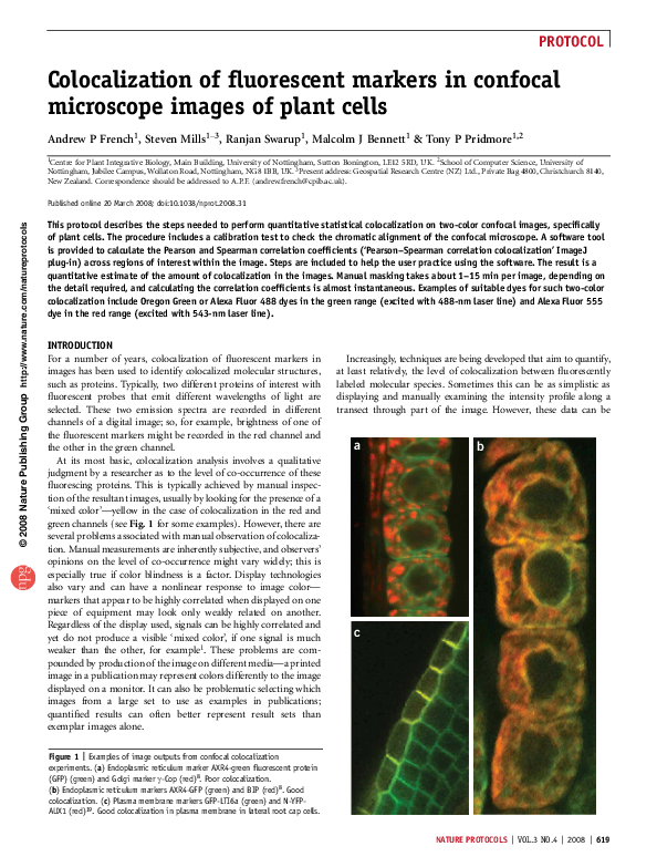 (PDF) Colocalization of fluorescent markers in confocal microscope ...