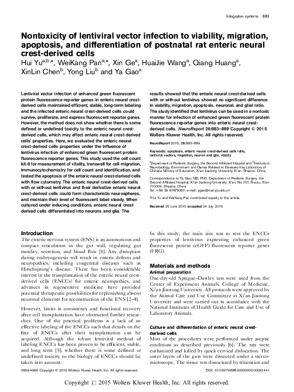 (PDF) Nontoxicity of lentiviral vector infection to viability ...