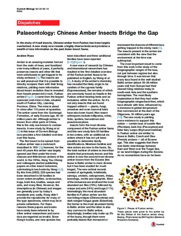 (PDF) Palaeontology: Chinese Amber Insects Bridge the Gap
