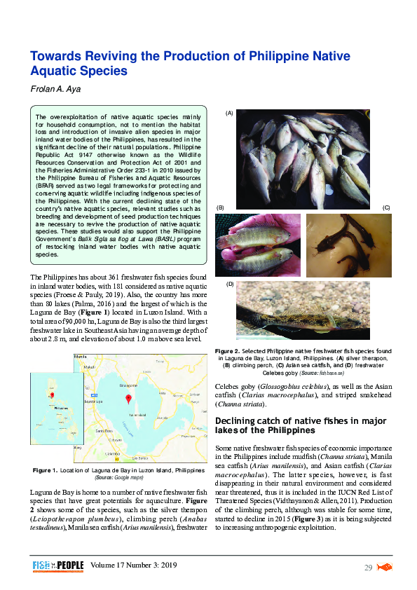 (PDF) Towards reviving the production of Philippine native aquatic species