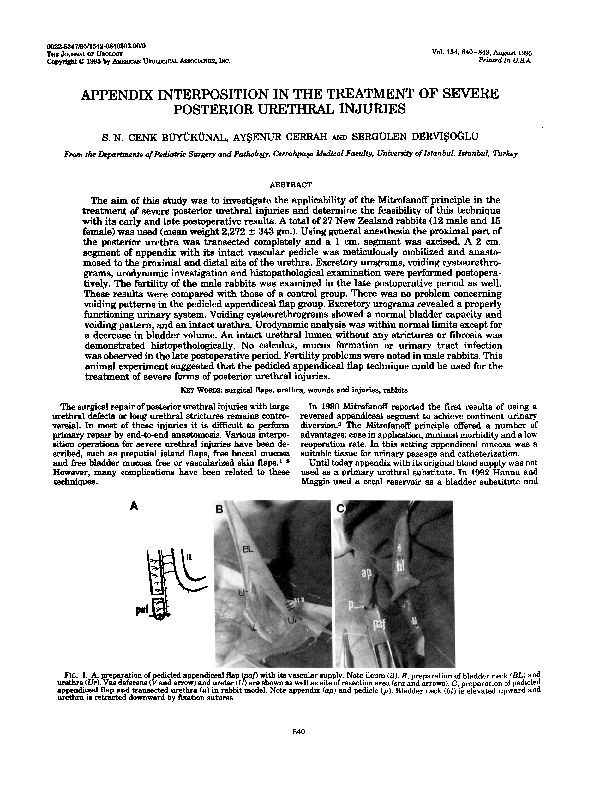 (PDF) Appendix Interposition in the Treatment of Severe Posterior ...