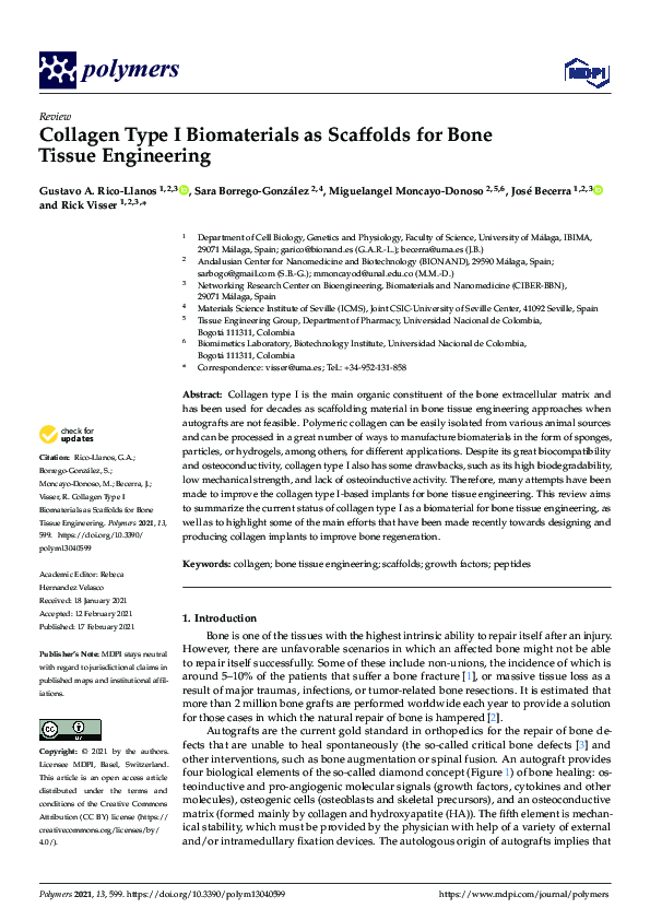 (PDF) Collagen Type I Biomaterials as Scaffolds for Bone Tissue Engineering