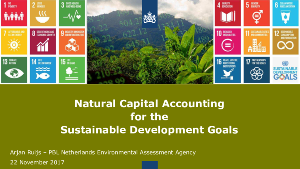 (PDF) Natural capital accounting for the sustainable development goals ...