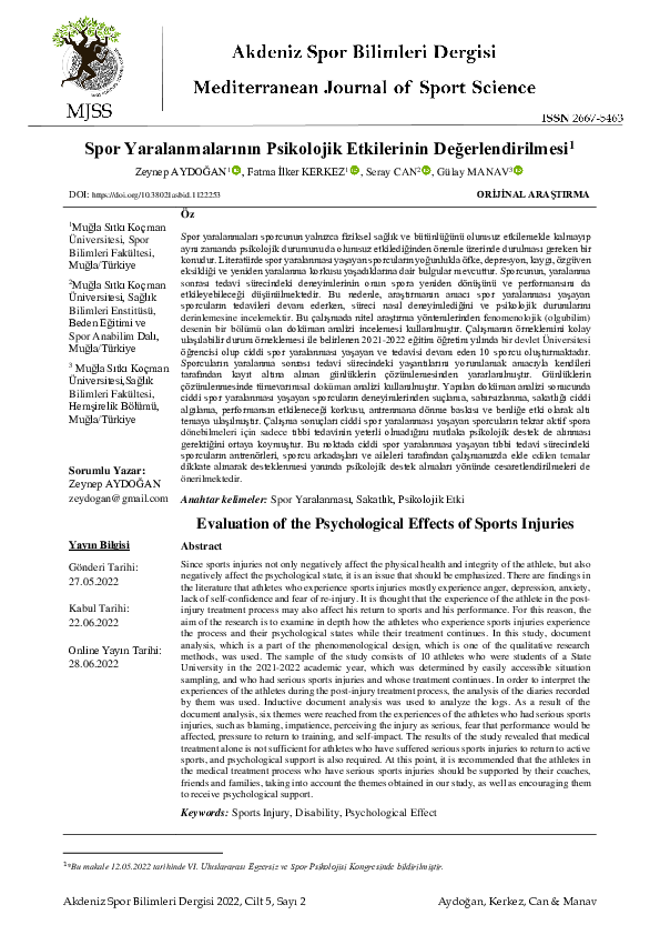 (PDF) Evaluation of the Psychological Effects of Sports Injuries