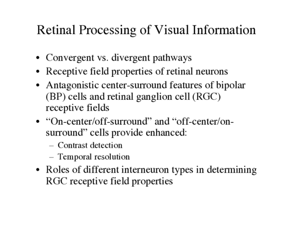 (PDF) Retinal processing of visual information
