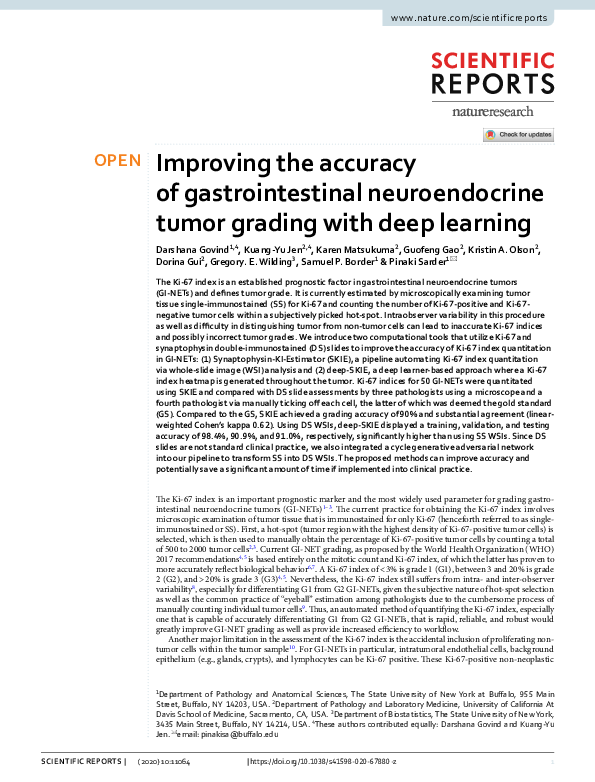 (PDF) Improving the accuracy of gastrointestinal neuroendocrine tumor ...