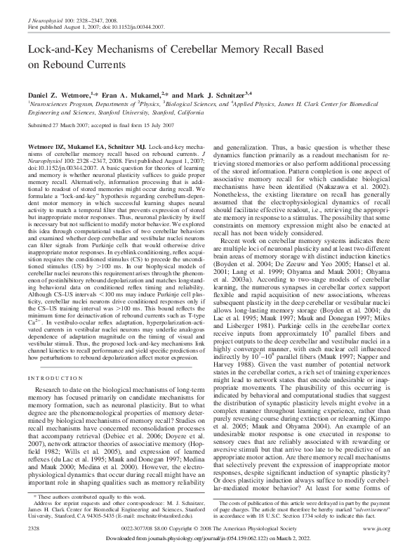 (PDF) Lock-and-Key Mechanisms of Cerebellar Memory Recall Based on ...