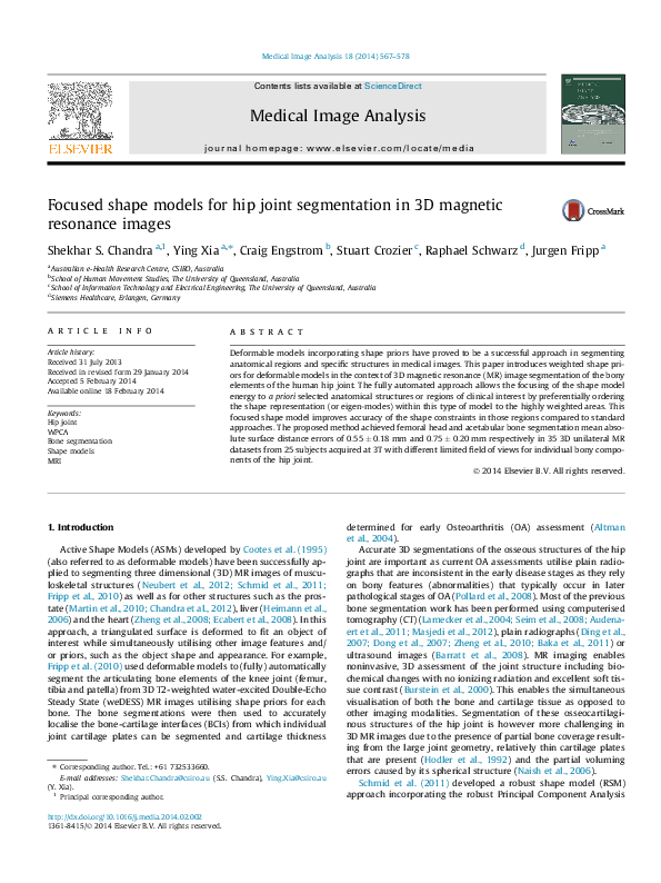 (PDF) Focused shape models for hip joint segmentation in 3D magnetic resonance images