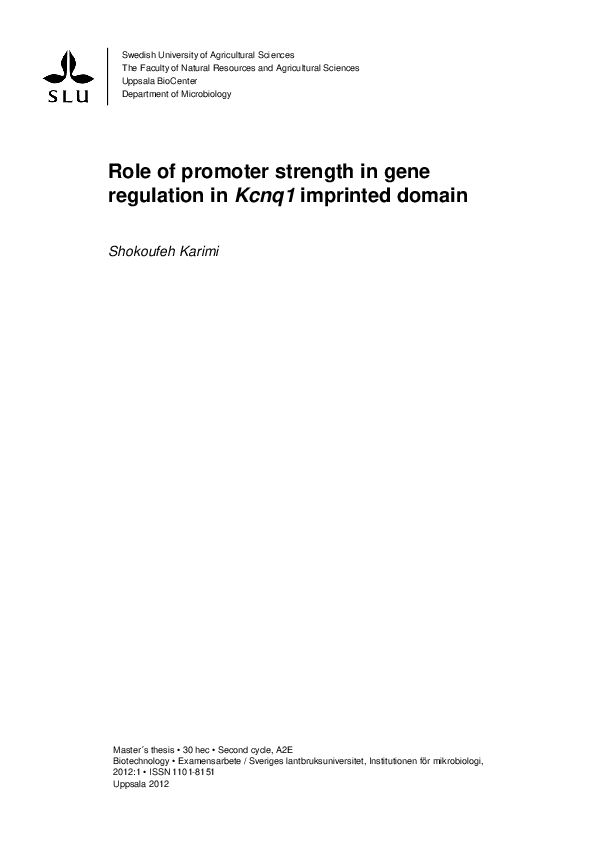 (PDF) Role of promoter strength in gene regulation in Kcnq1 imprinted ...
