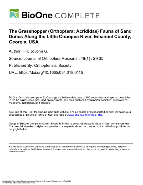 (PDF) The Grasshopper (Orthoptera: Acrididae) Fauna of Sand Dunes Along ...