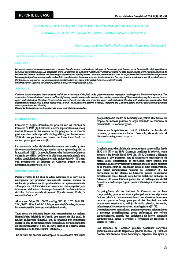 (PDF) Lesiones De Cameron: Causa De Hemorragia Digestiva Alta