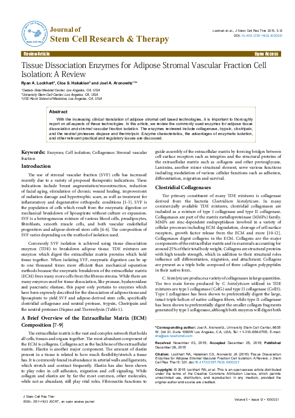 (PDF) Tissue Dissociation Enzymes for Adipose Stromal Vascular Fraction ...