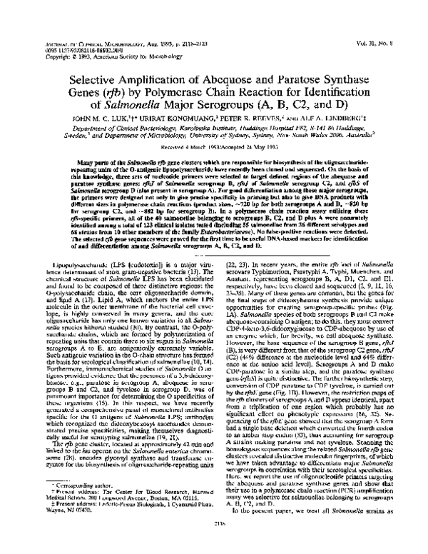 (PDF) Selective amplification of abequose and paratose synthase genes (rfb) by polymerase chain ...