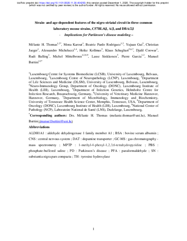 (PDF) Strain- and age-dependent features of the nigro-striatal circuit ...