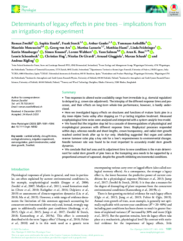 (PDF) Determinants of legacy effects in pine trees – implications from ...