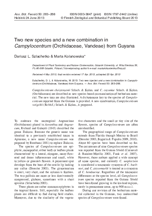 (PDF) Two New Species and a New Combination in Campylocentrum ...