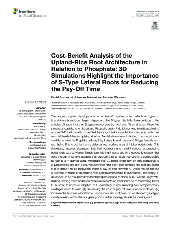 (PDF) Cost-Benefit Analysis of the Upland-Rice Root Architecture in ...