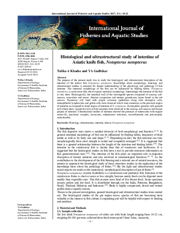 (PDF) Histological and ultrastructural study of intestine of Asiatic ...