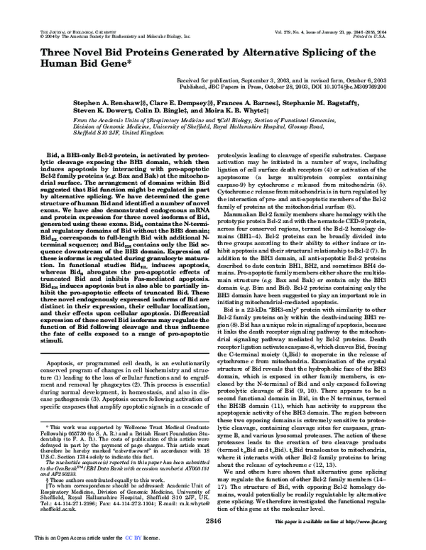 (PDF) Three Novel Bid Proteins Generated by Alternative Splicing of the ...