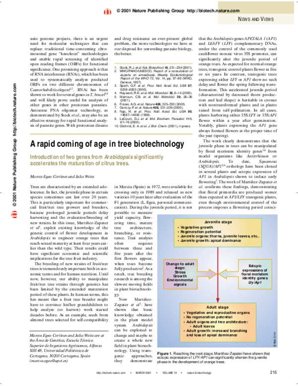 (PDF) A rapid coming of age in tree biotechnology