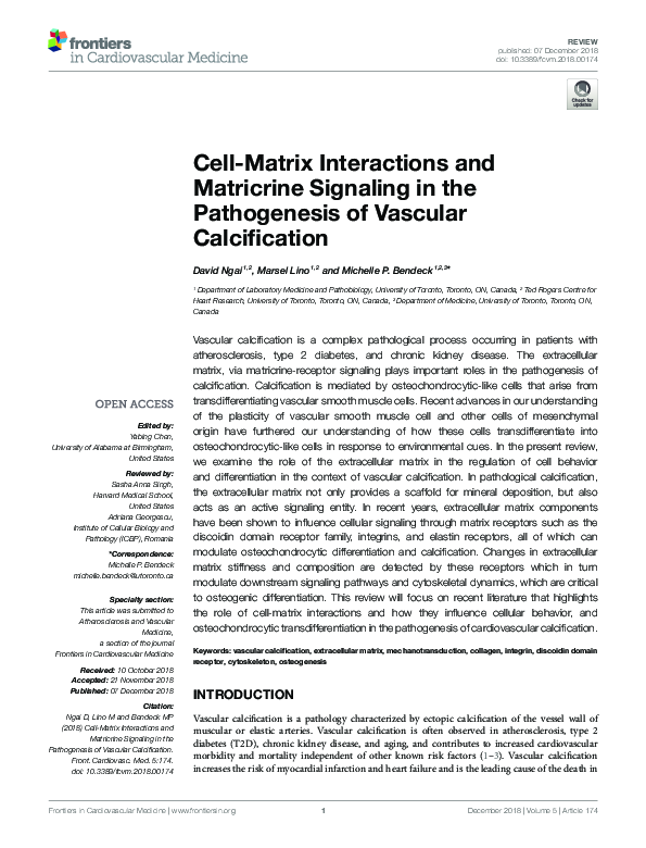 (PDF) Cell-Matrix Interactions and Matricrine Signaling in the ...