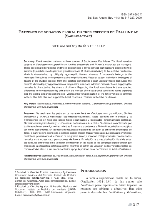 (PDF) Floral venation patterns in three species of Sapindaceae-Paullinieae