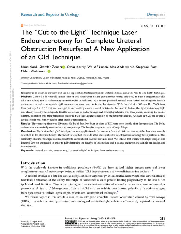 (PDF) The “Cut-to-the-Light” Technique Laser Endoureterotomy for ...