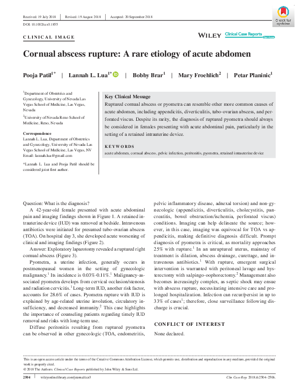 (PDF) Cornual abscess rupture: A rare etiology of acute abdomen