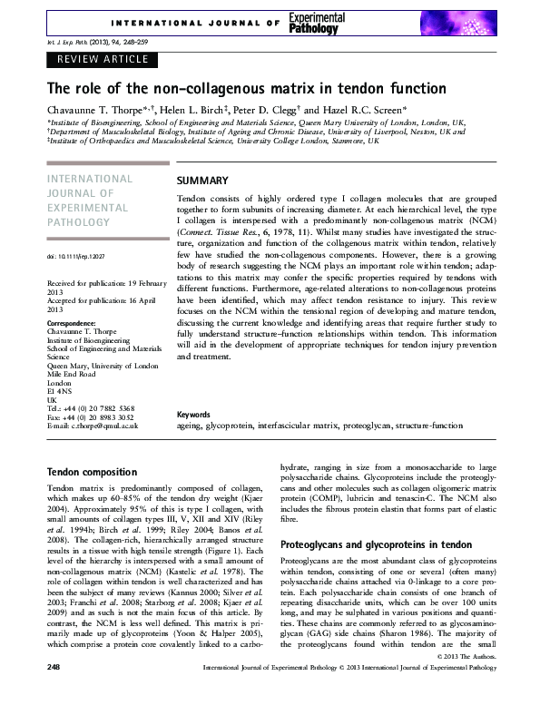 (PDF) The role of the non-collagenous matrix in tendon function