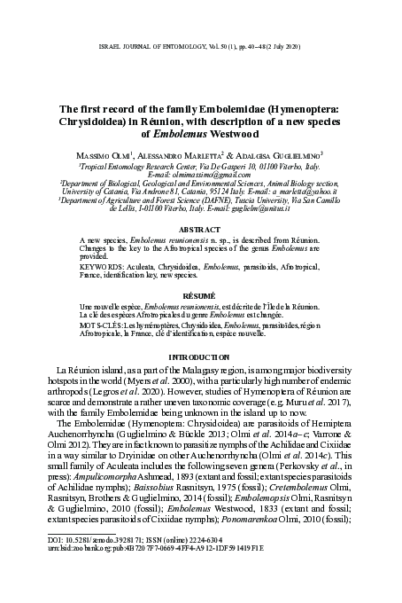 (PDF) The first record of the family Embolemidae (Hymenoptera ...