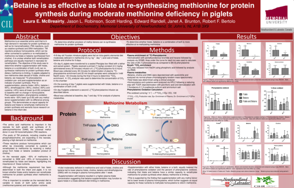(PDF) Betaine is as effective as folate at re-synthesizing methionine ...