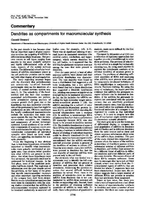 (PDF) Dendrites as compartments for macromolecular synthesis