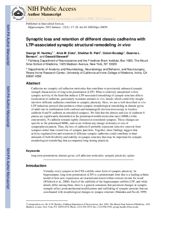 (PDF) Synaptic loss and retention of different classic cadherins with LTP-associated synaptic ...