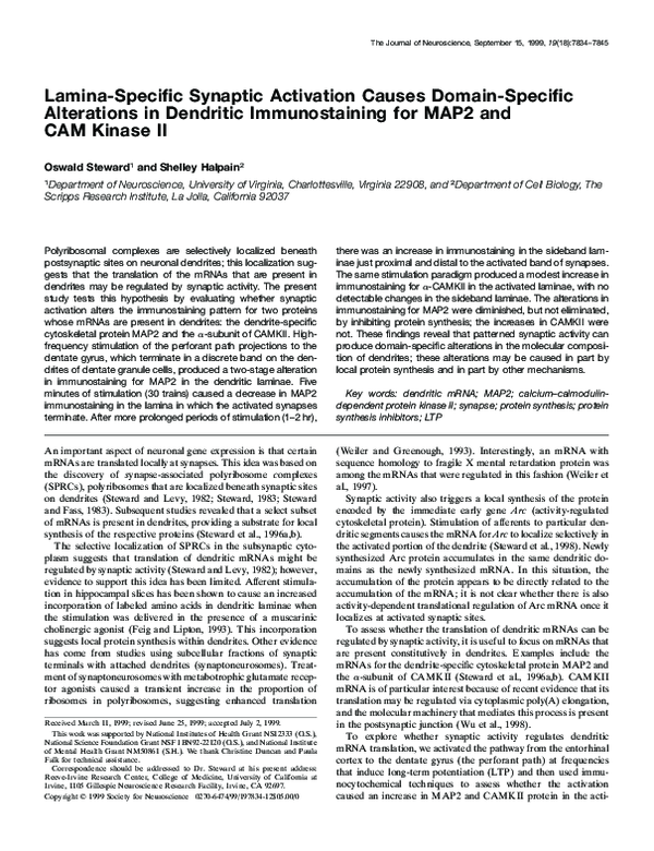 (PDF) Lamina-Specific Synaptic Activation Causes Domain-Specific Alterations in Dendritic ...