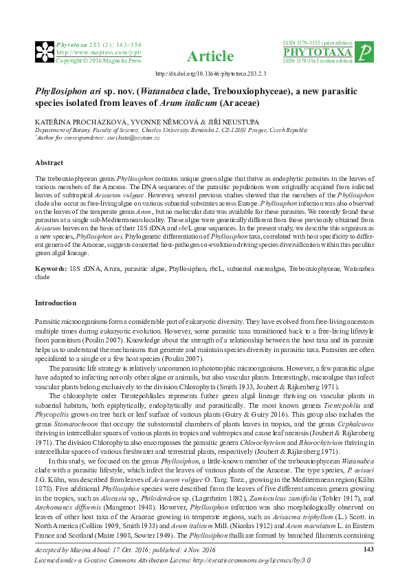 (PDF) Phyllosiphon ari sp. nov. (Watanabea clade, Trebouxiophyceae), a ...