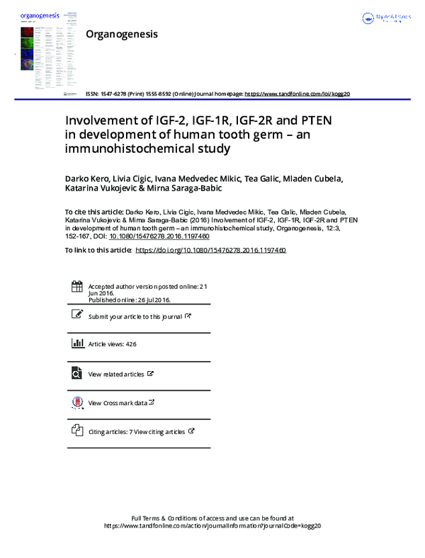 (PDF) Involvement of IGF-2, IGF-1R, IGF-2R and PTEN in development of human tooth germ – an ...