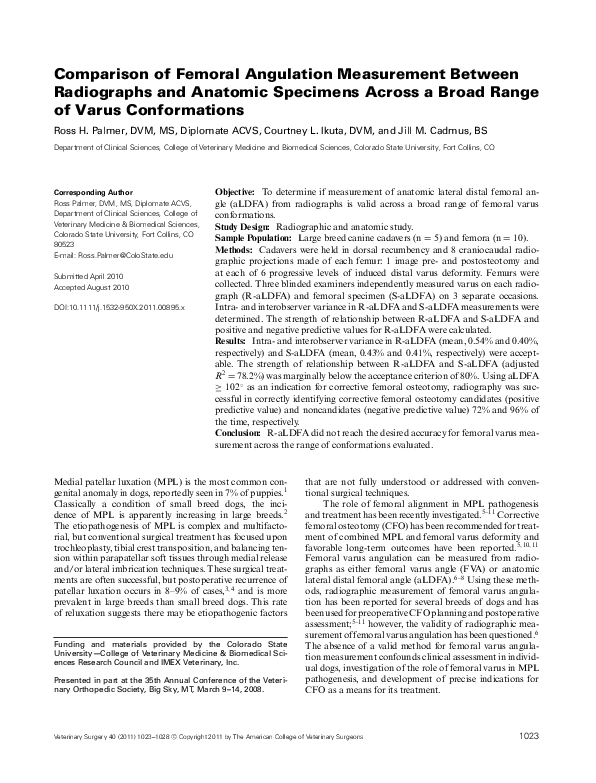 (PDF) Comparison of Femoral Angulation Measurement Between Radiographs ...