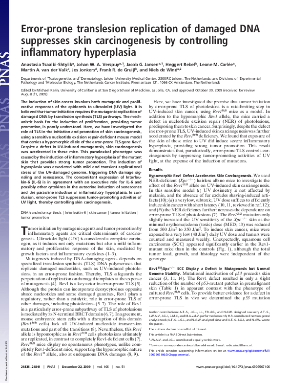 (PDF) Error-prone translesion replication of damaged DNA suppresses ...