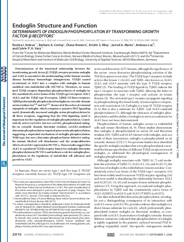 (PDF) Endoglin Structure and Function
