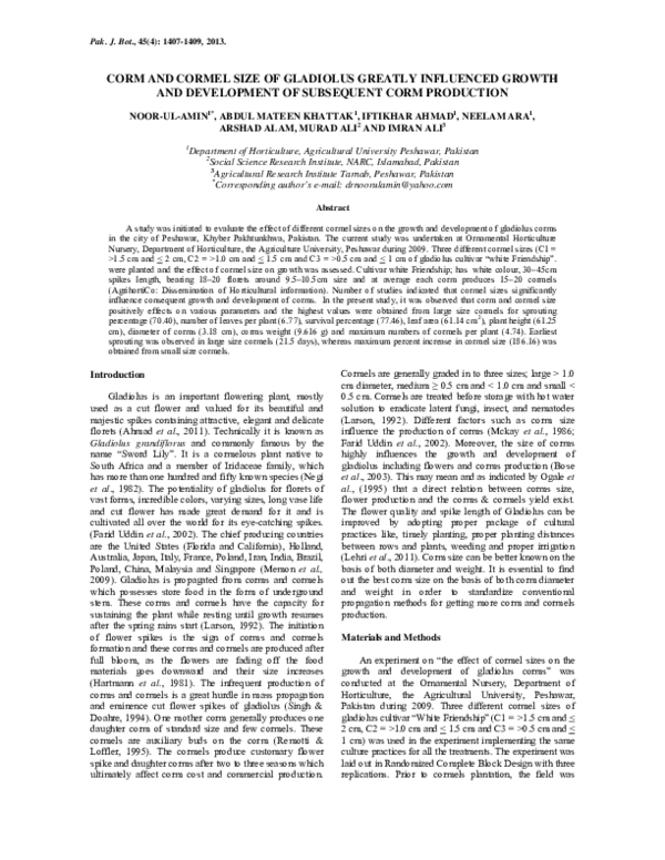 (PDF) Corm and Cormel Size of Gladiolus Greatly Influenced Growth and ...