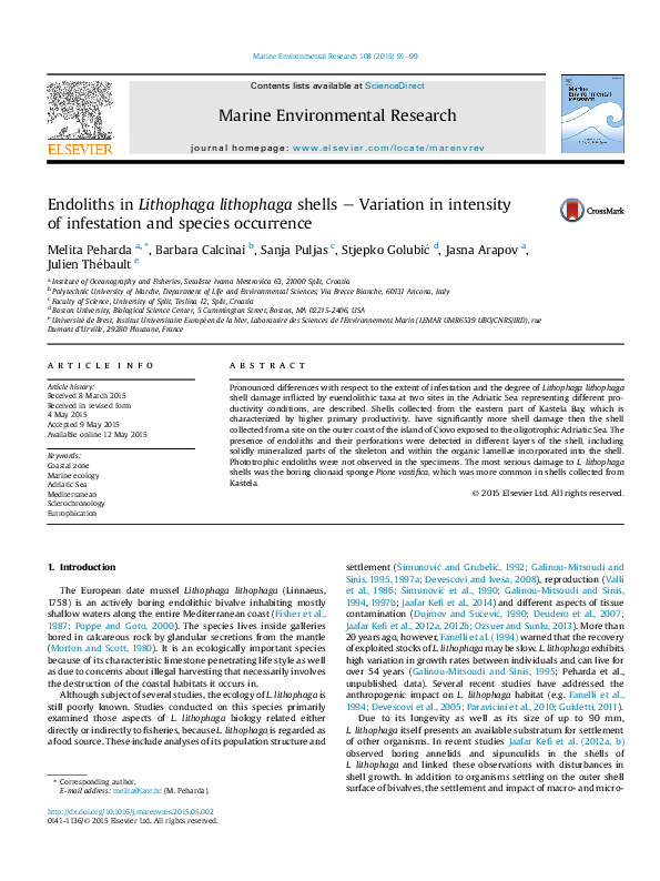 (PDF) Endoliths in Lithophaga lithophaga shells – Variation in ...