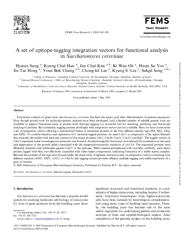 (PDF) A set of epitope-tagging integration vectors for functional ...