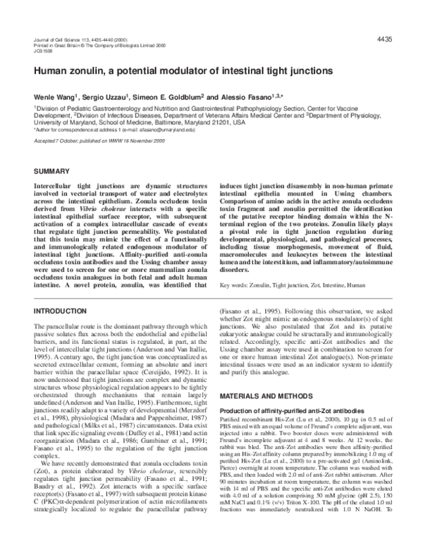 (PDF) Human zonulin, a potential modulator of intestinal tight junctions