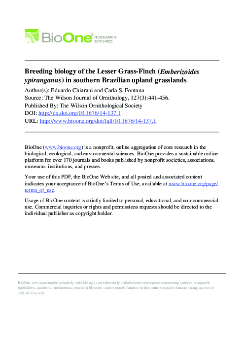 (PDF) Breeding biology of the Lesser Grass-Finch (Emberizoides ...