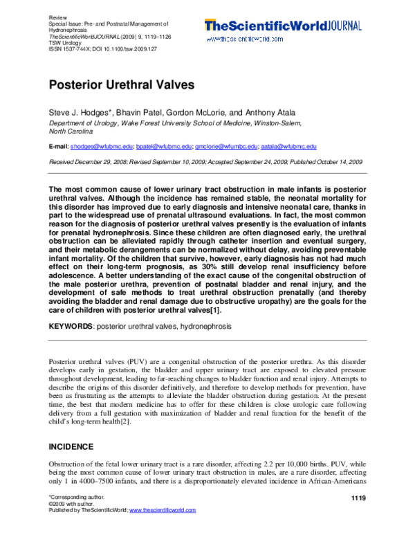 (PDF) Posterior urethral valves